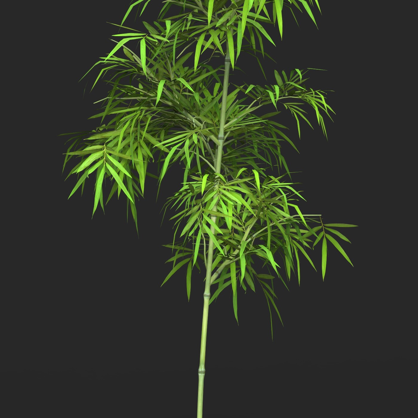 ArtStation - Realistic Game Ready Bamboo Tree 02 | Resources