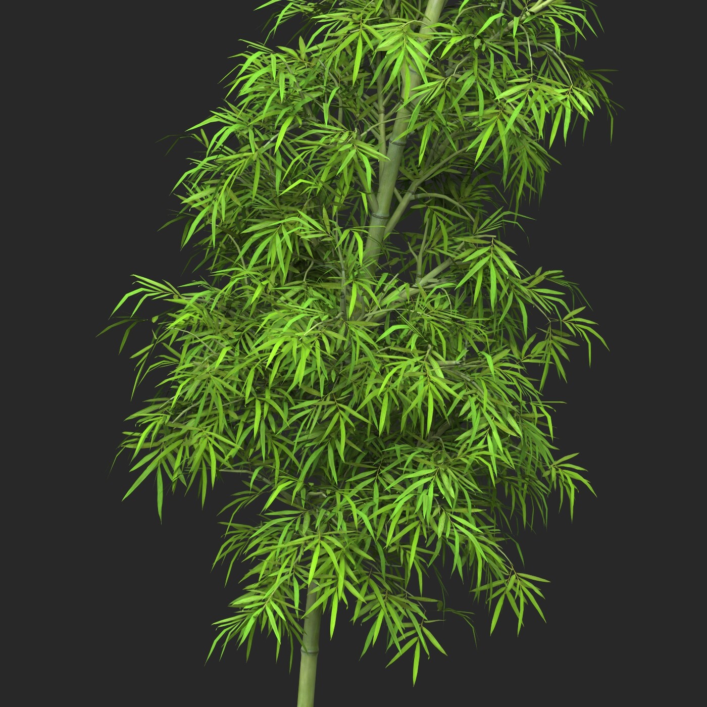ArtStation - Realistic Game Ready Bamboo Tree 06 | Resources