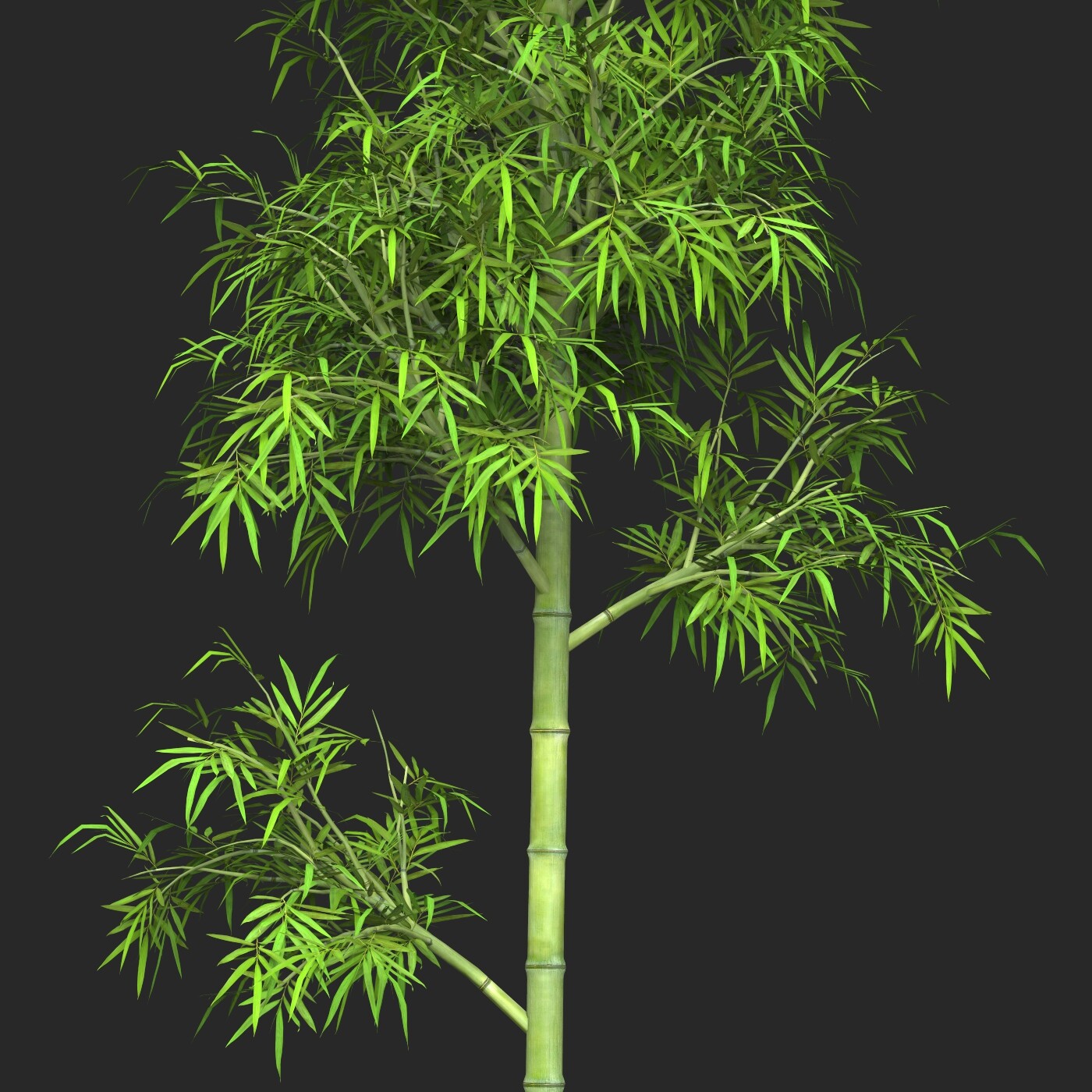 ArtStation - Realistic Game Ready Bamboo Tree 07 | Resources