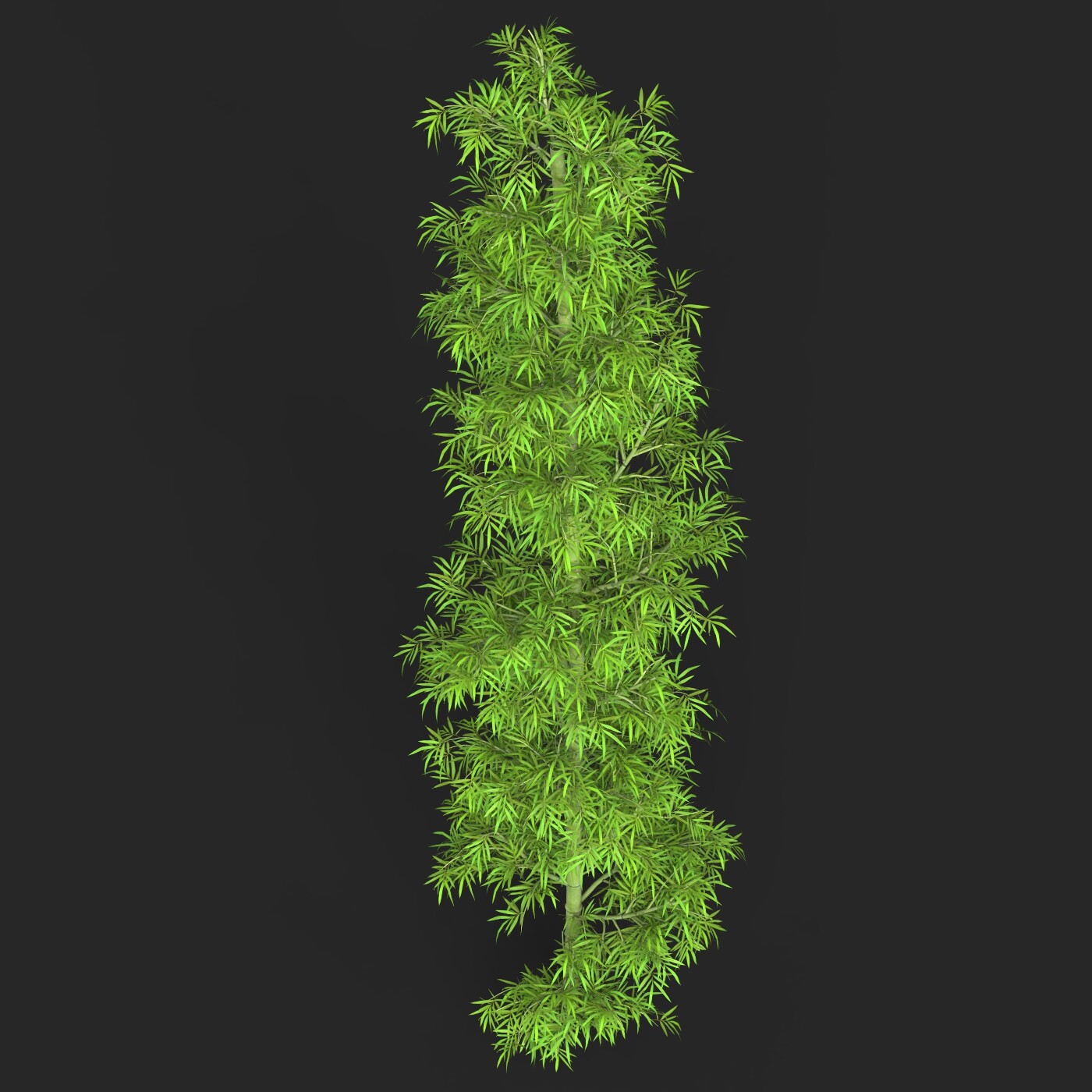 ArtStation - Realistic Game Ready Bamboo Tree 08 | Resources