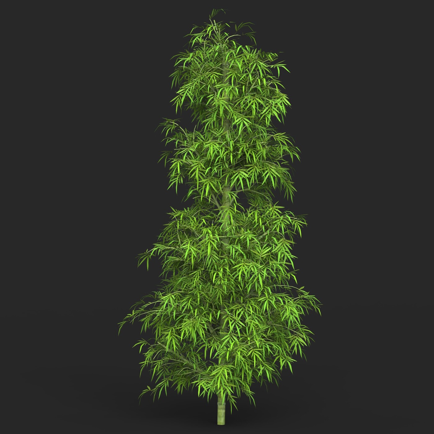 ArtStation - Realistic Game Ready Bamboo Tree 09 | Resources