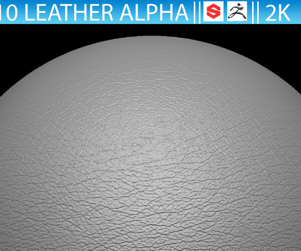 ArtStation - 10 Leather Alpha Fabric (ZBrush, Substance, 2K, PSD) | Brushes