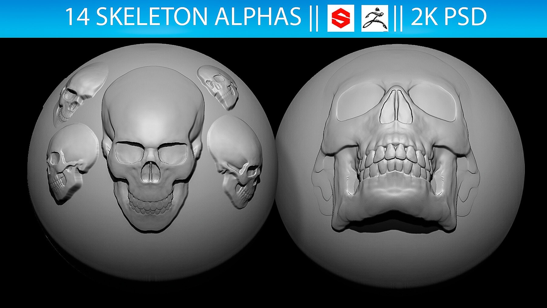 ArtStation - 14 Skeleton Alphas Vol.2 (ZBrush, Substance, 2K) | Brushes