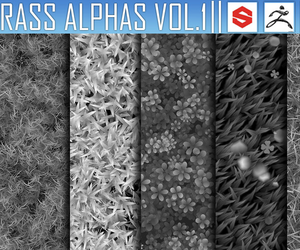 ArtStation - 10 Grass Alphas Vol.1 (ZBRush, Substance, 2K) | Brushes