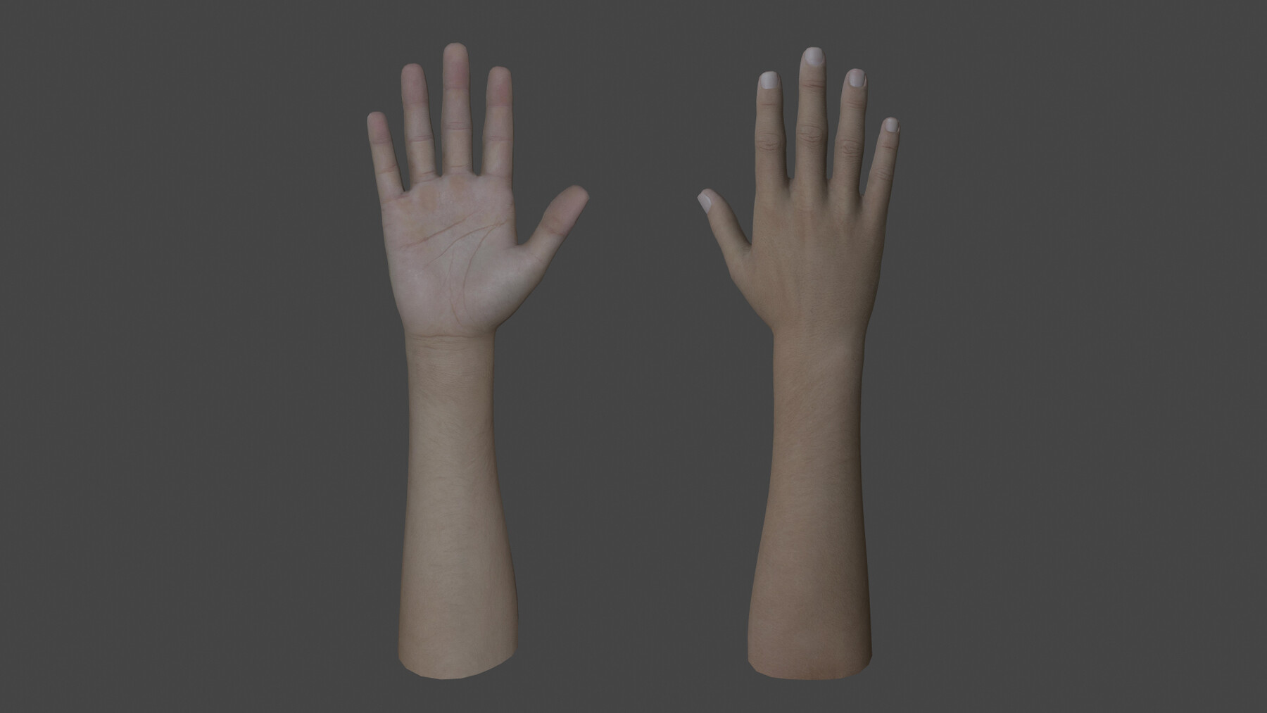 ArtStation - HAND.036 Counting Animation | Game Assets