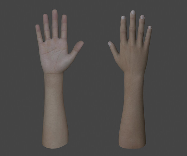 ArtStation - HAND.036 Counting Animation | Game Assets
