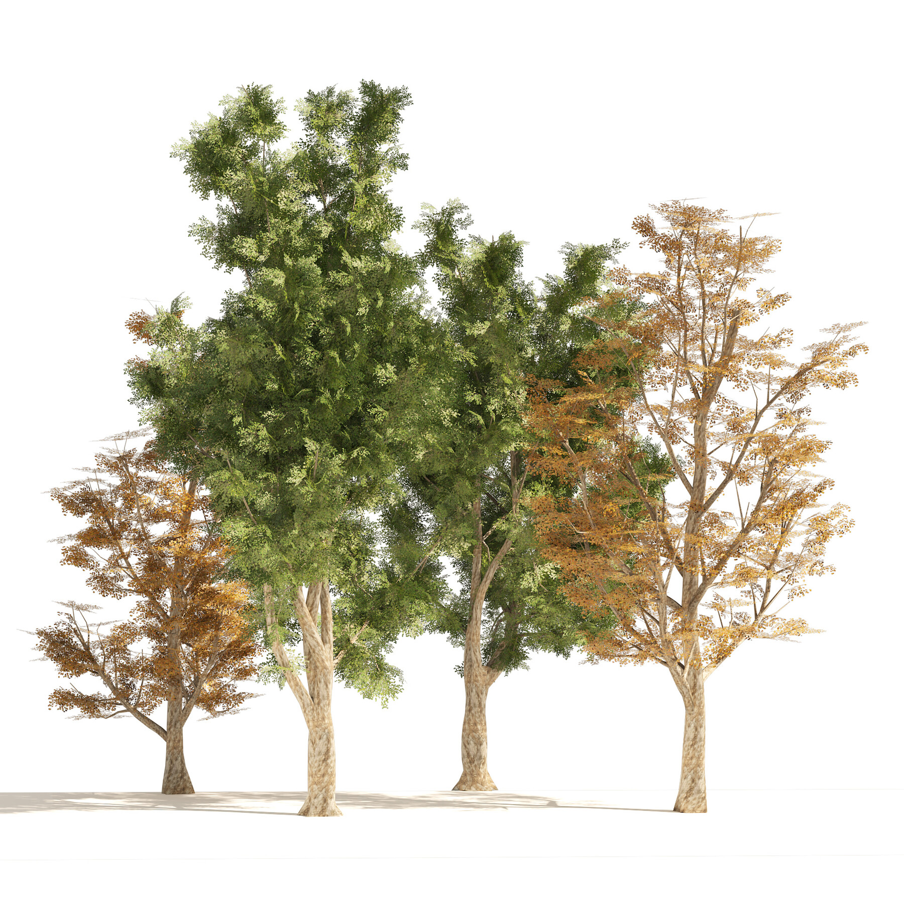 ArtStation - 4 Summer & Fall Street london plane trees | Resources