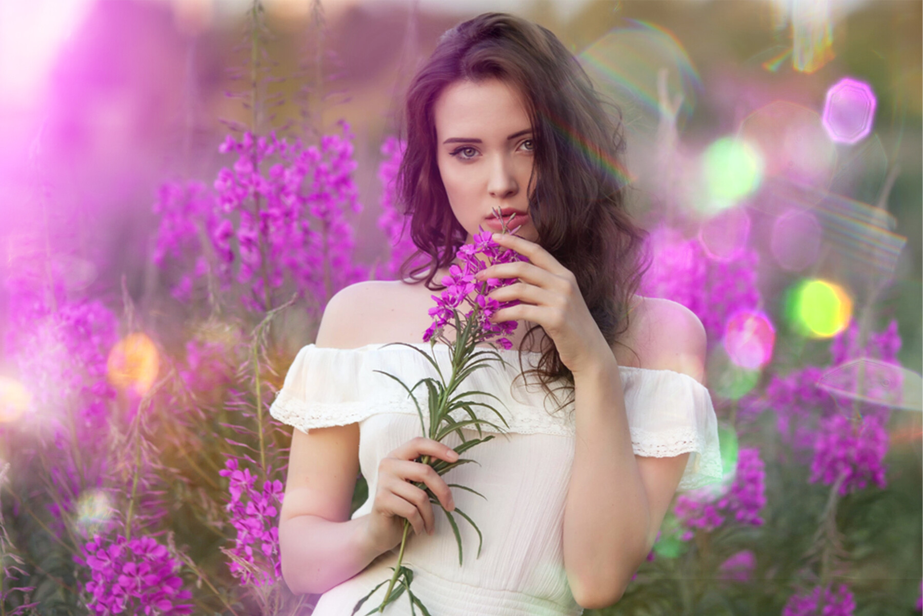 TIGPEEK - 200 Summer Light Haze, Sunlight, Spring bokeh, Lens overlays ...