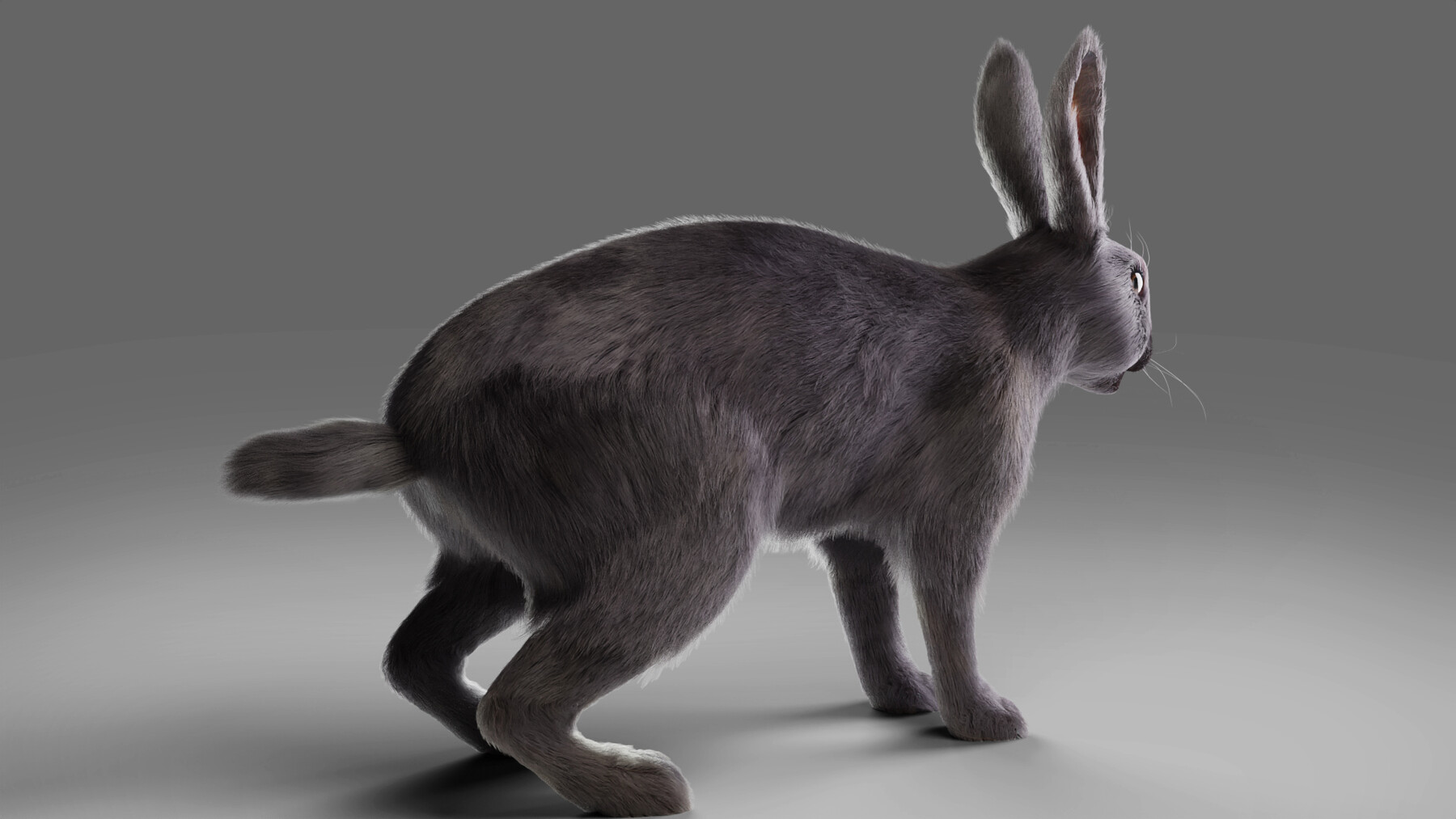 ArtStation - Fur Rabbit Gray V02 Rigged | Game Assets