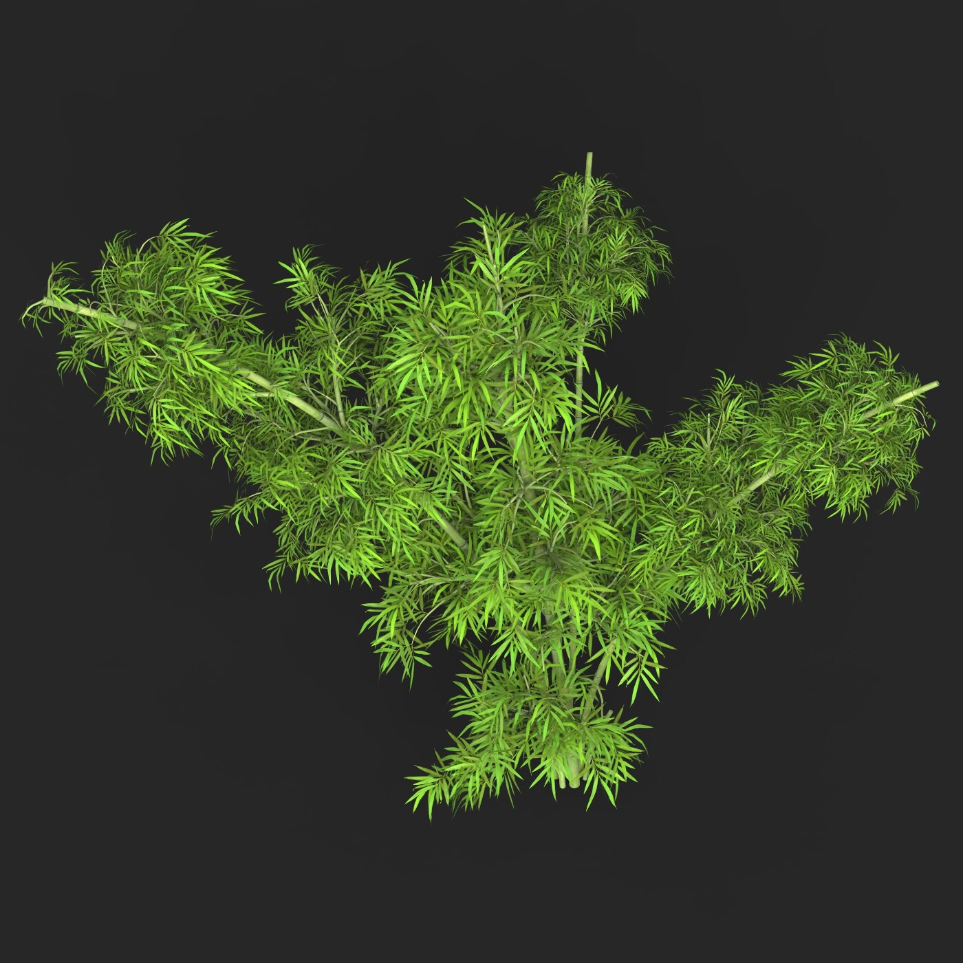 ArtStation - Realistic Game Ready Bamboo Tree 13 | Resources