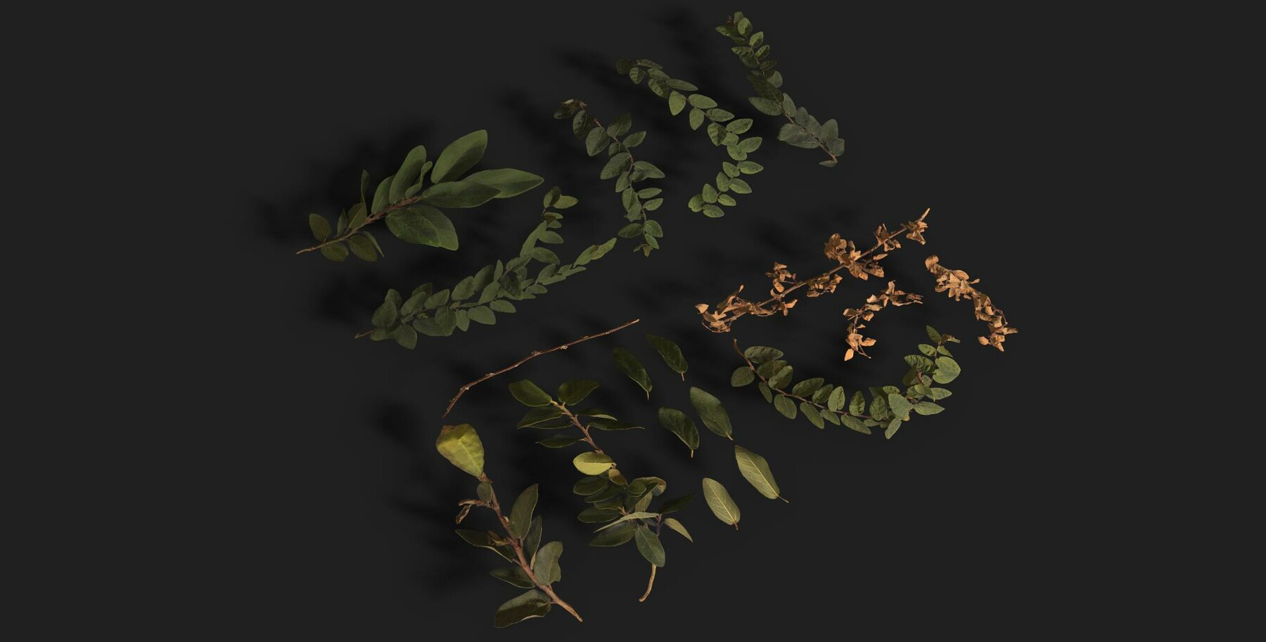 ArtStation - Climbing Fig Leaves | Resources