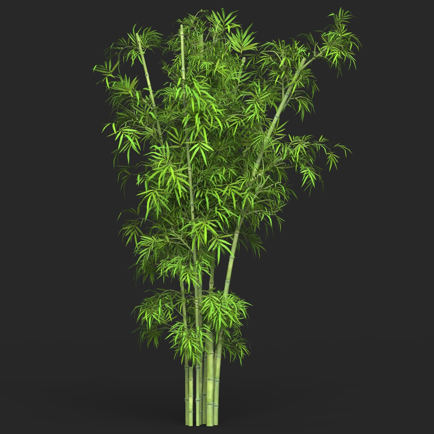 ArtStation - Realistic Game Ready Bamboo Tree 14 | Resources