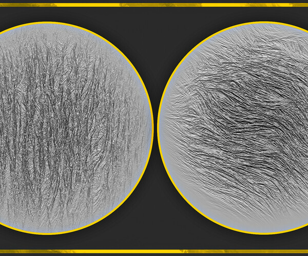 ArtStation - 20 Fur and Hair Alphas for ZBrush | Brushes