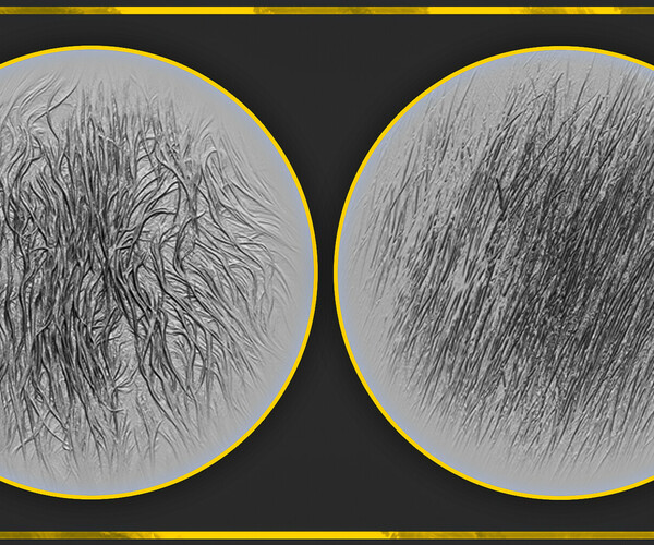 ArtStation - 20 Fur and Hair Alphas for ZBrush | Brushes