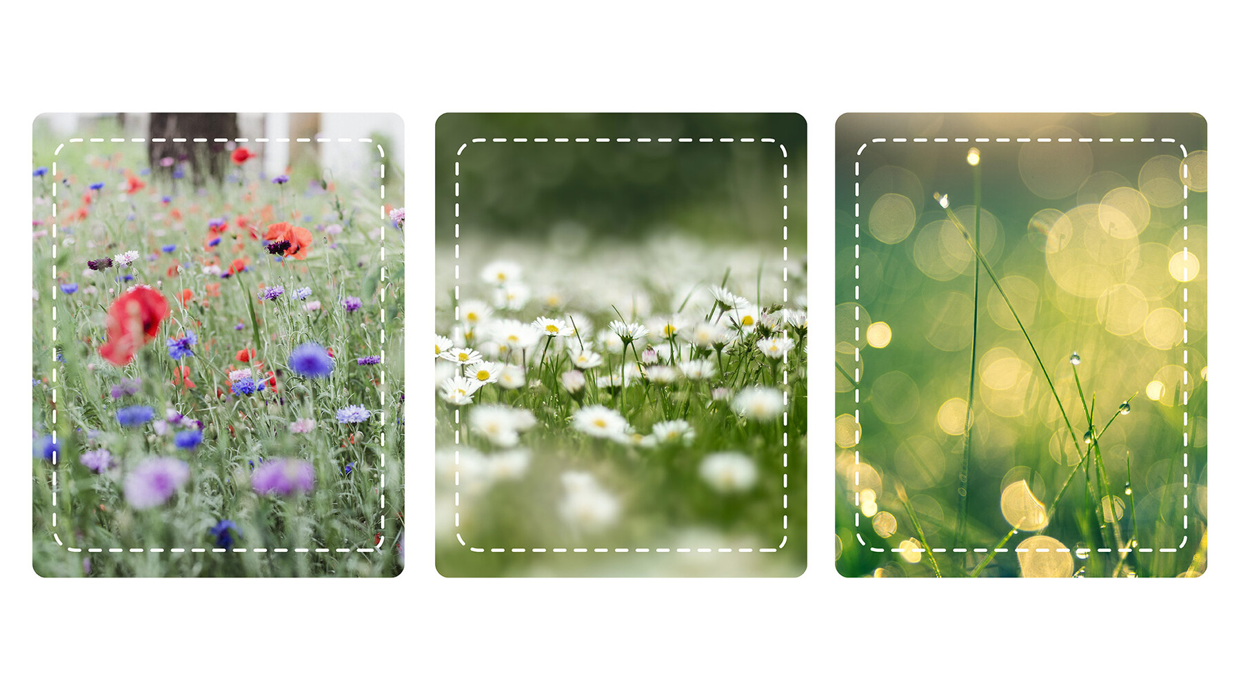 ArtStation - Instagram and Social Media Inspirational Flowers Template ...