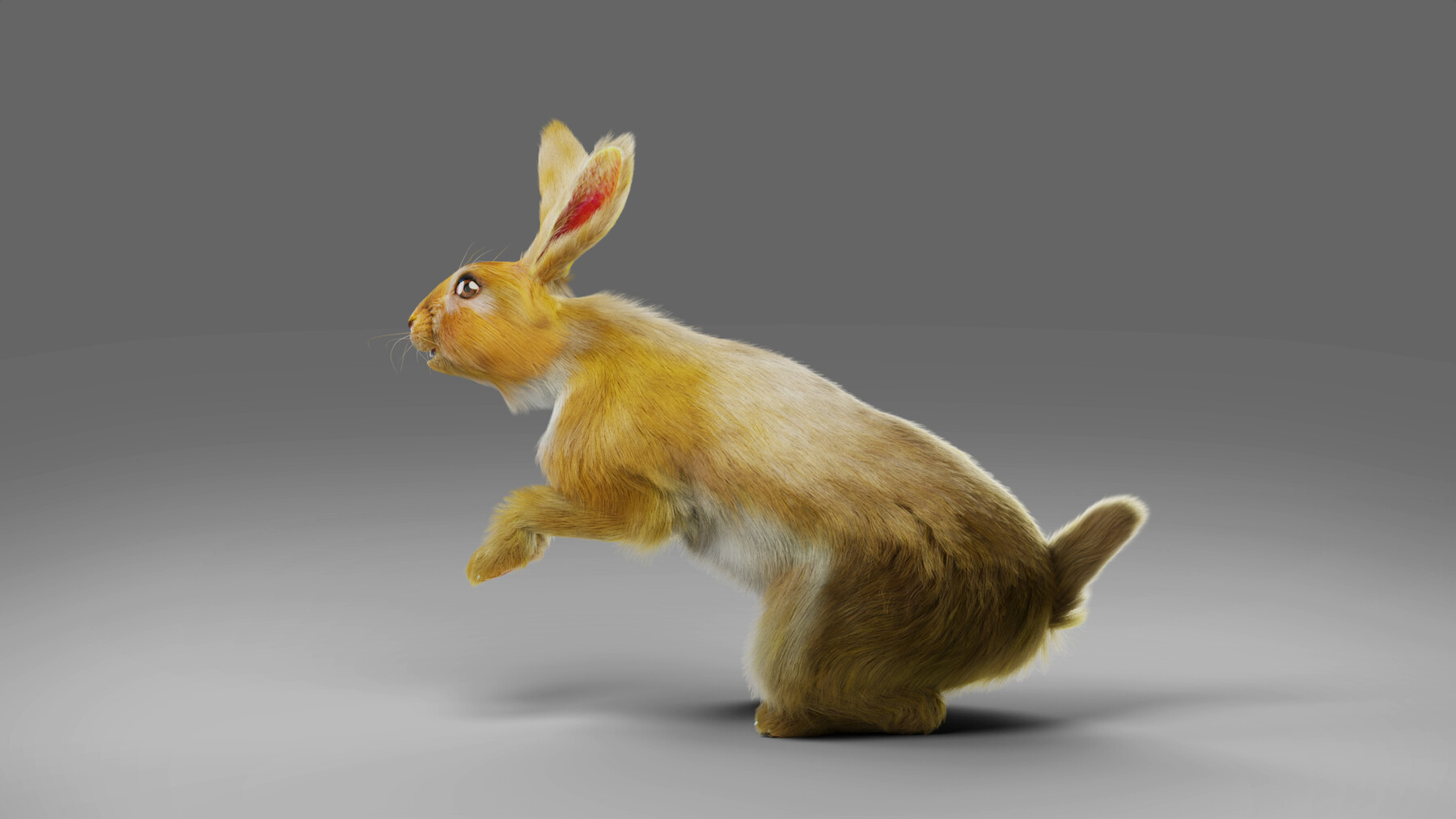 ArtStation - Fur Rabbit Rigged and Animation in Blender | Game Assets