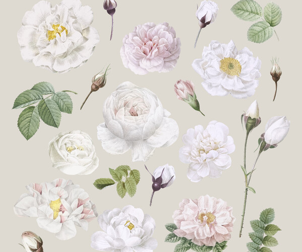 ArtStation - Rose floral design | Artworks