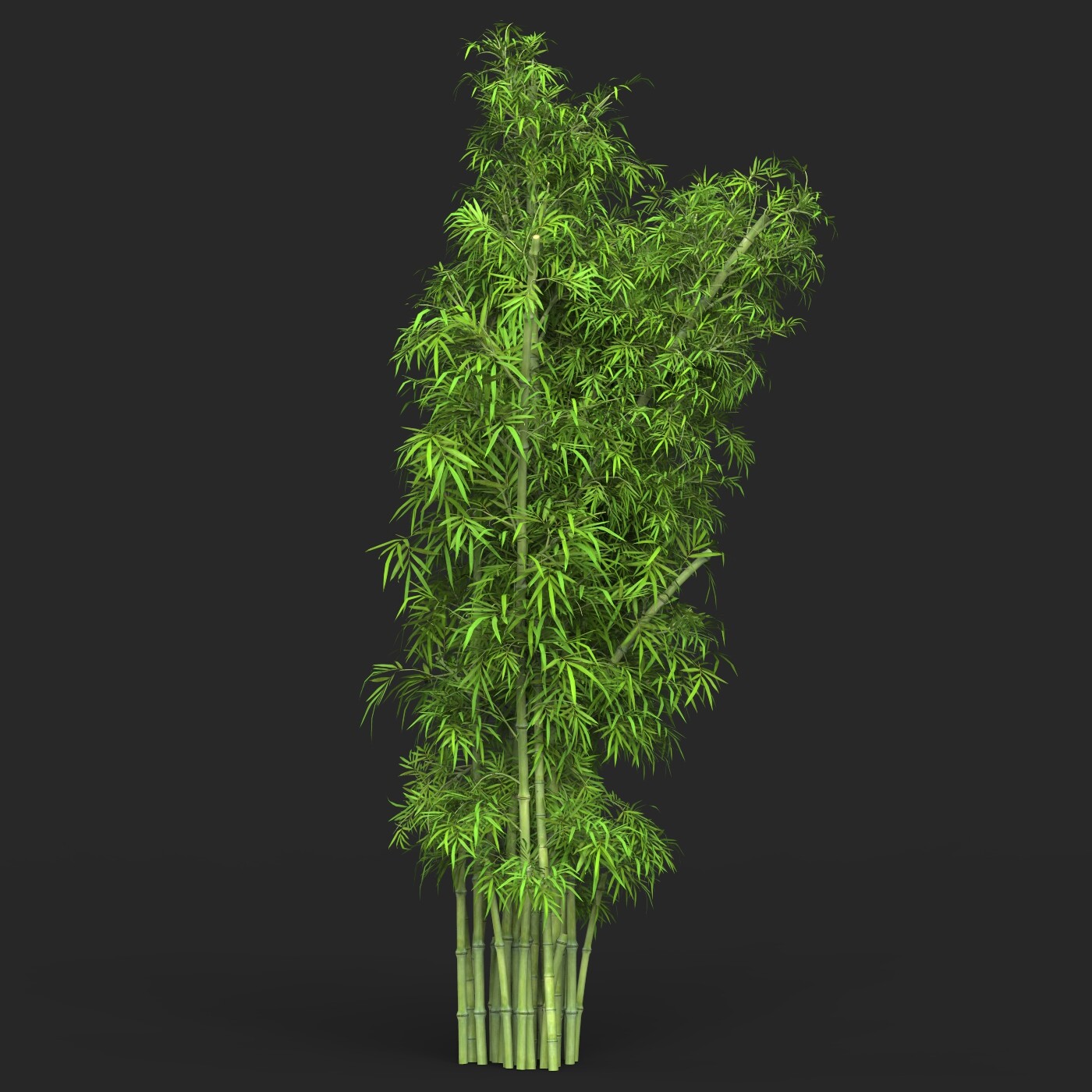 ArtStation - Realistic Game Ready Bamboo Tree 16 | Resources