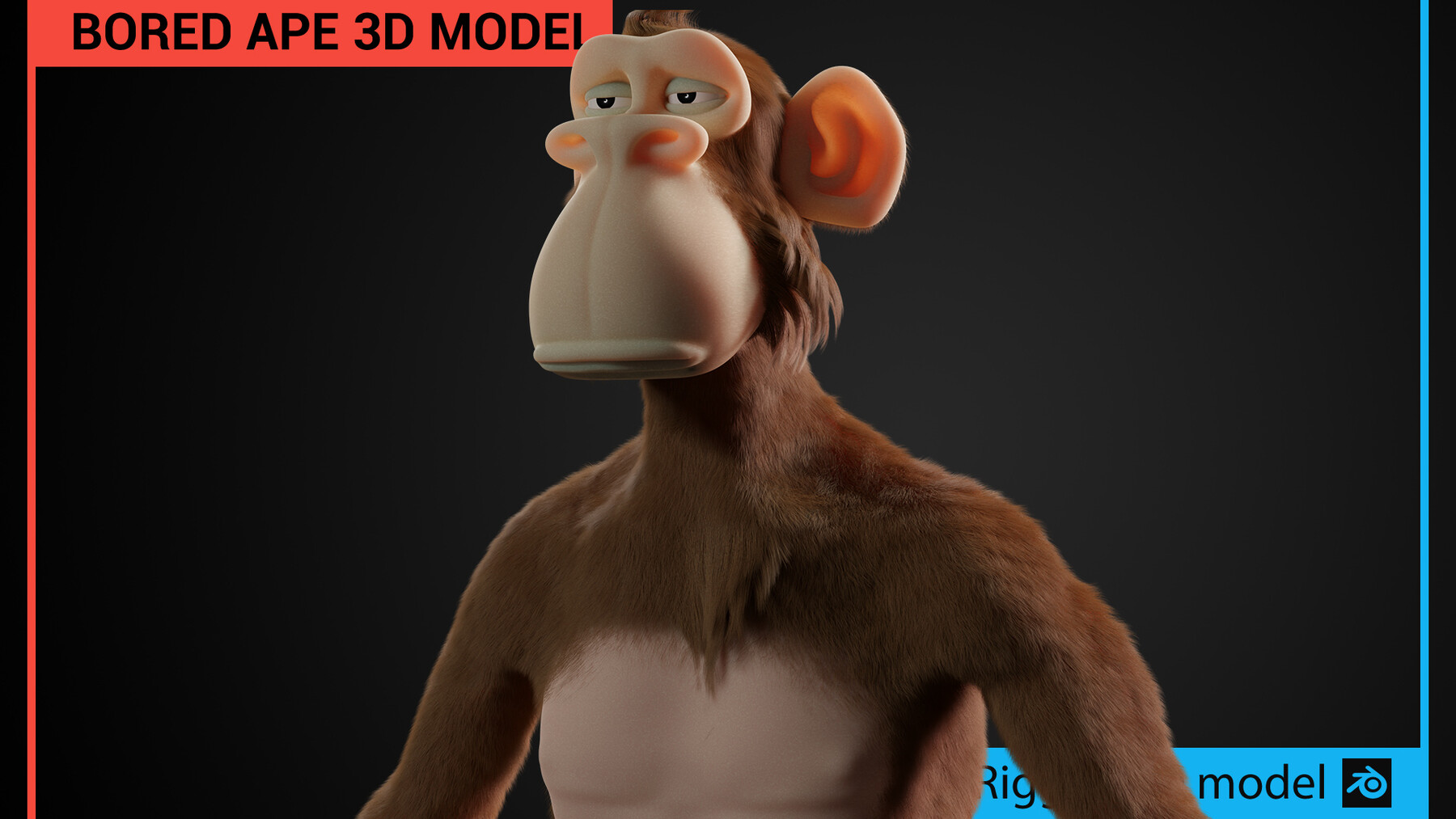 ArtStation - Bored Ape Rigged 3D model | Game Assets