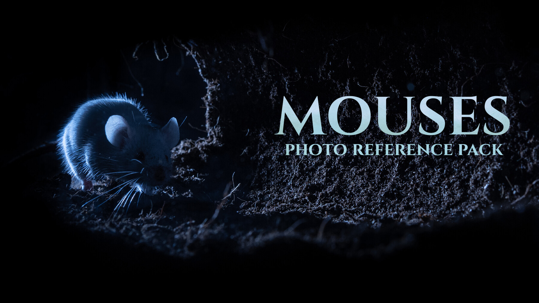 ArtStation - Mice - Photo Reference Pack For Artists 357 JPEGs noAI | Resources