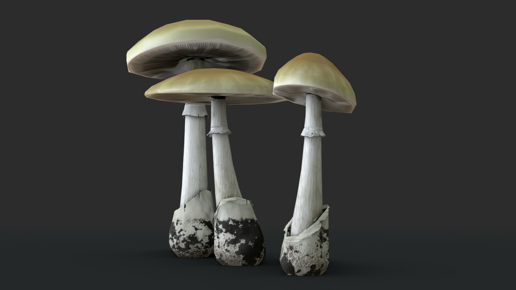 ArtStation - Death Cap Mushroom Set | Game Assets