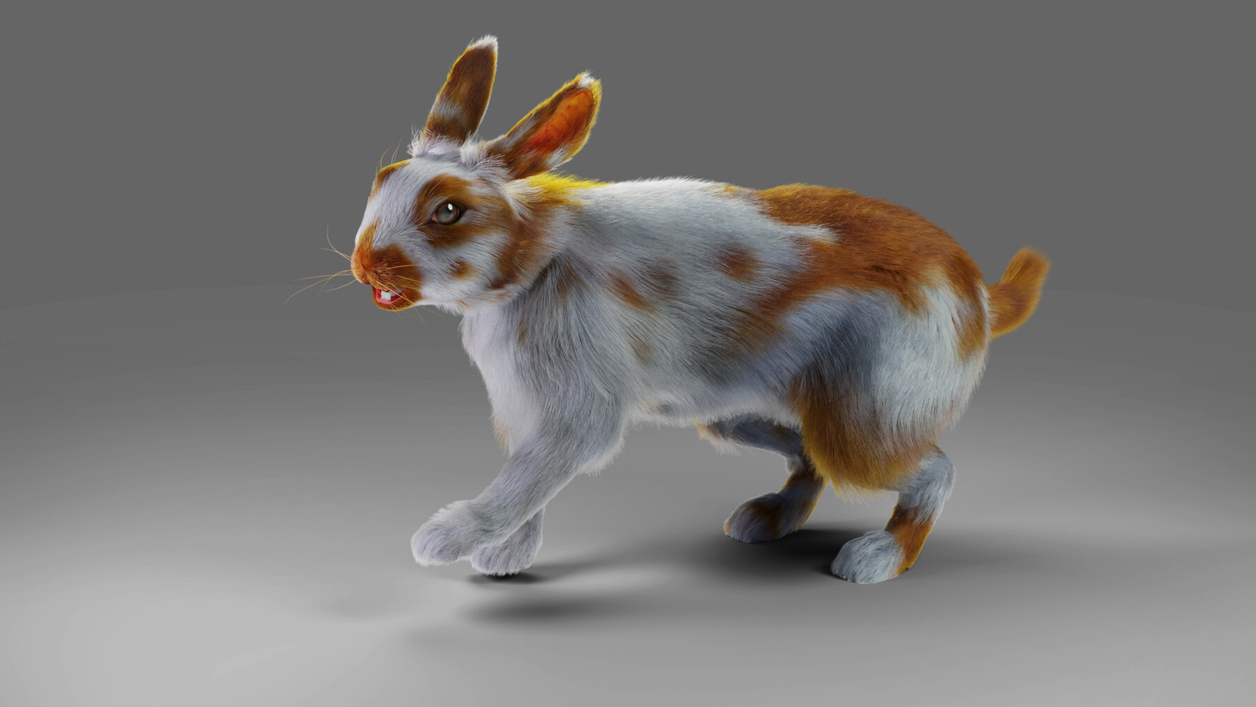 ArtStation - Fur Rabbit Gray V03 Rigged and Animation | Game Assets
