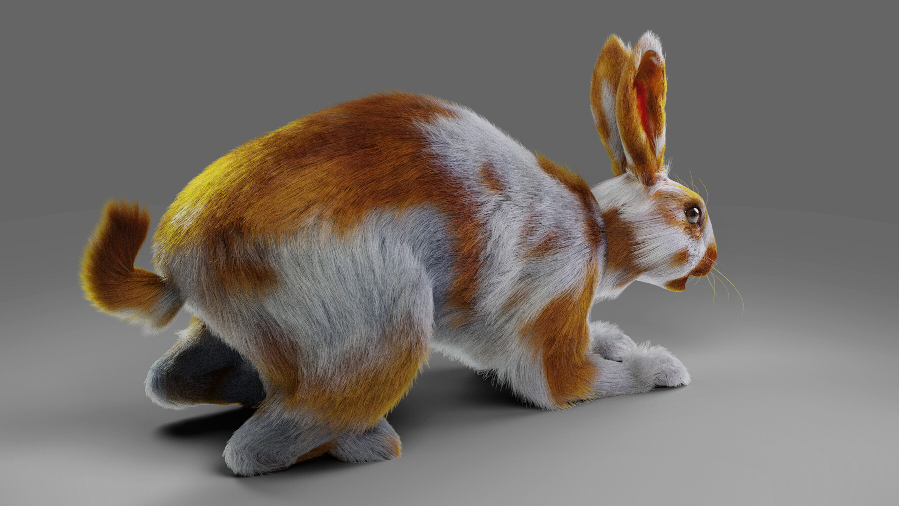 ArtStation - Fur Rabbit Gray V03 Rigged and Animation | Game Assets