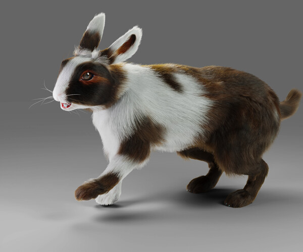 ArtStation - Fur Rabbit Gray V04 Rigged and Animation | Game Assets
