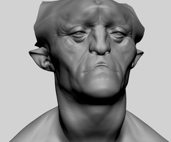 ArtStation - Creature Head Models for Reference | Resources