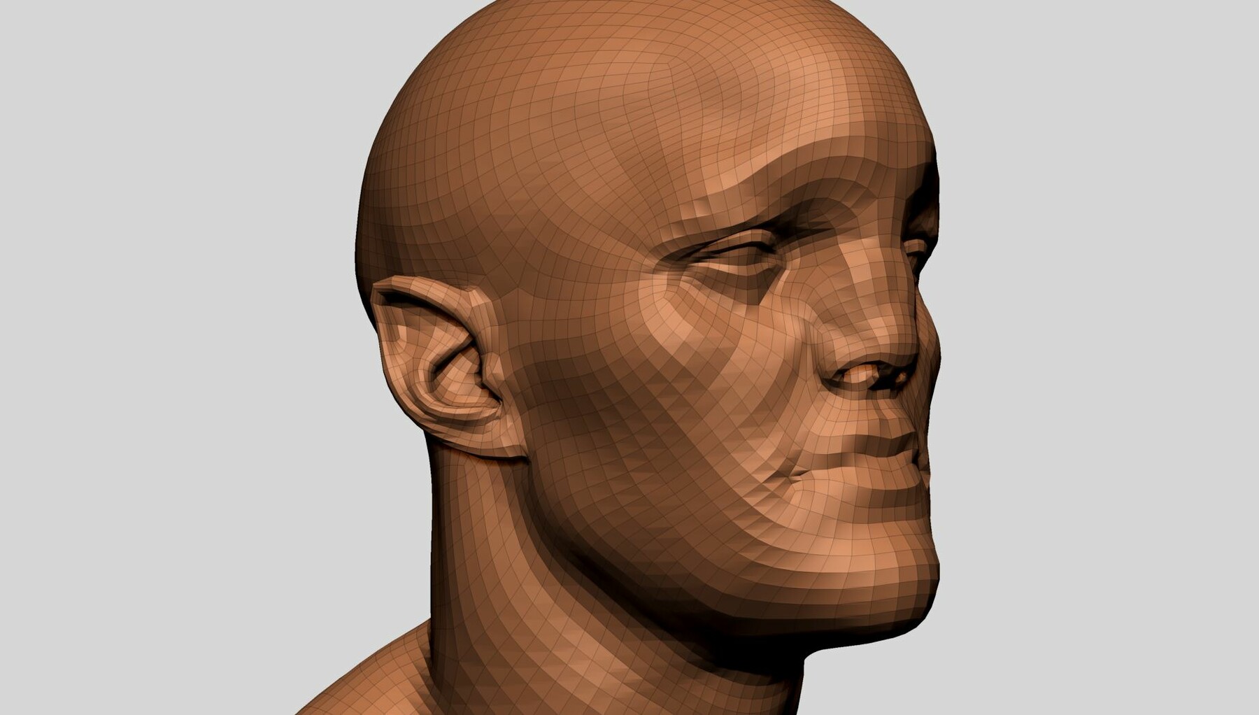 ArtStation - Creature Head Models for Reference | Resources