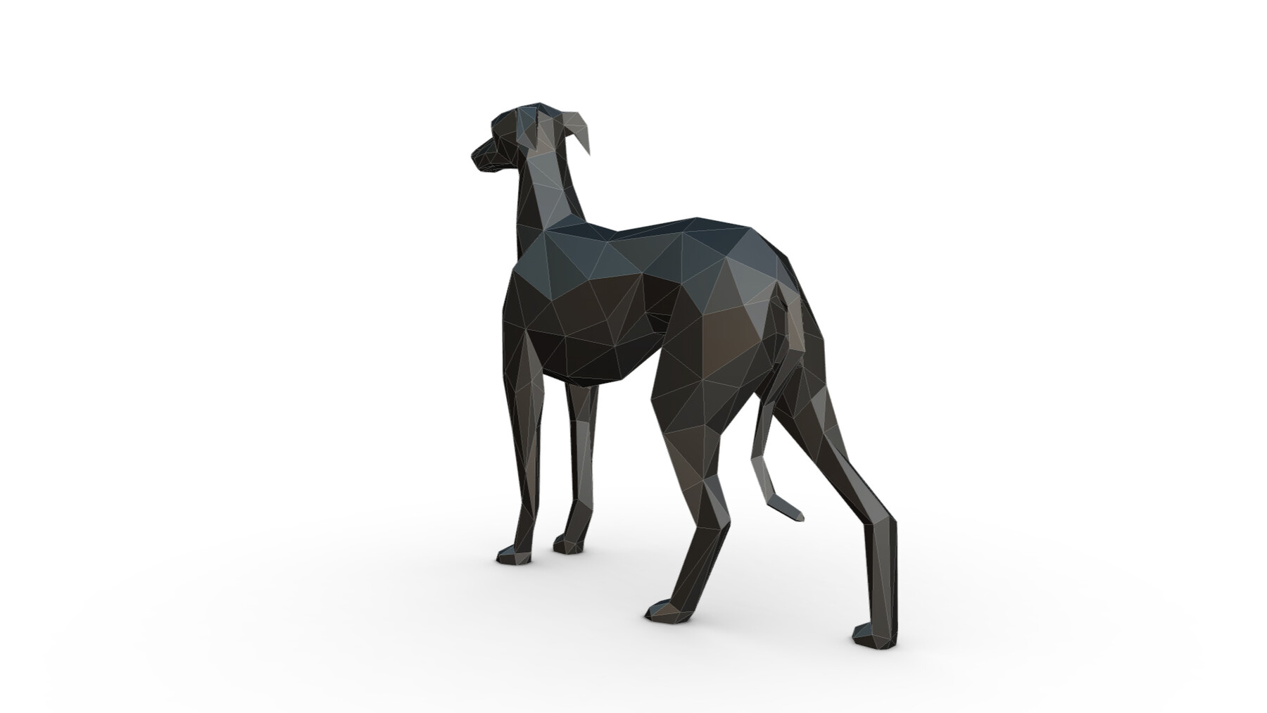 ArtStation - Italian Greyhound 1 | Resources