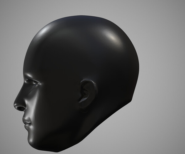 ArtStation - Printable Human Head STL | Resources