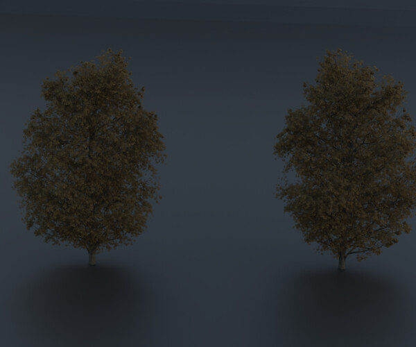 ArtStation - Tree Pack | 3D models | Textured file | Download Now ...