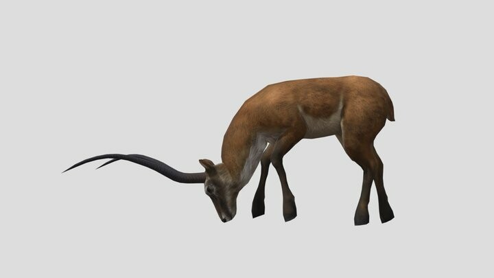ArtStation - Antelope-03 | Game Assets
