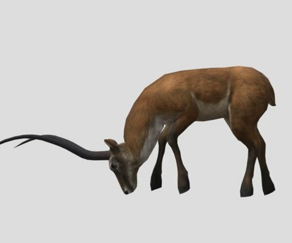 ArtStation - Antelope-03 | Game Assets