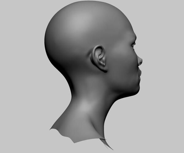 ArtStation - Stylized Head Basemesh A | Resources
