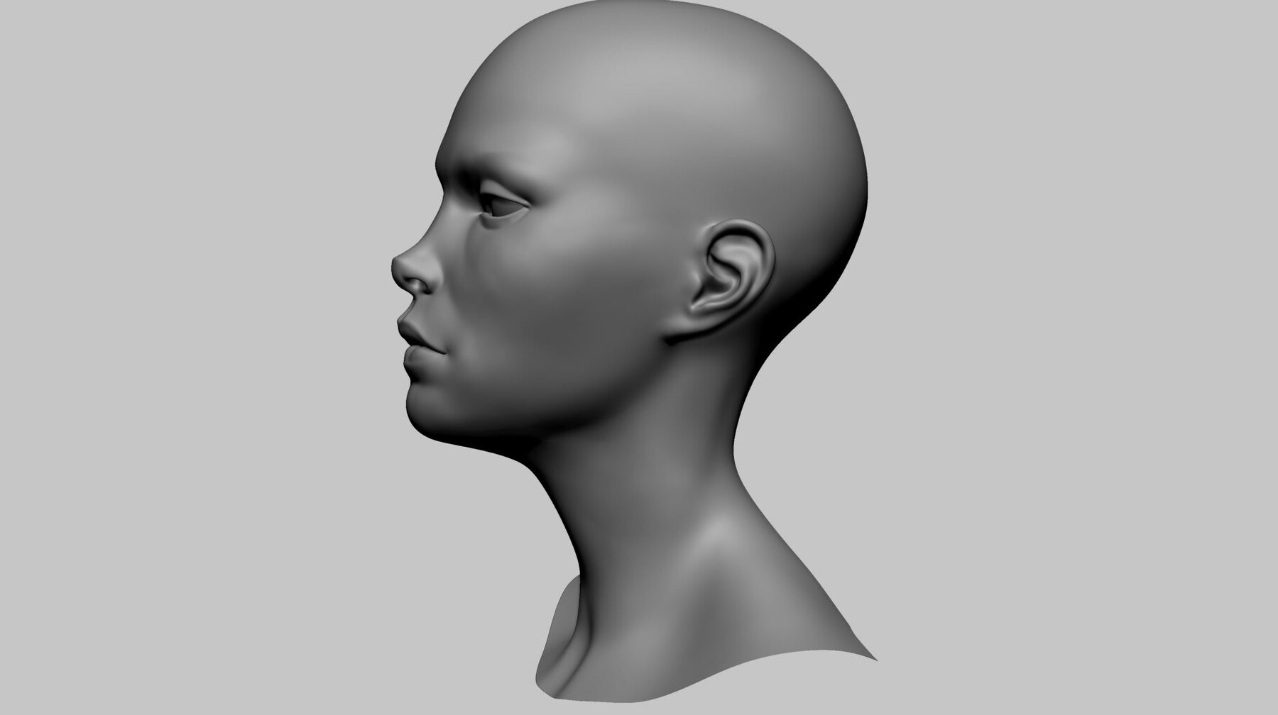 ArtStation - Stylized Head Basemesh A | Resources