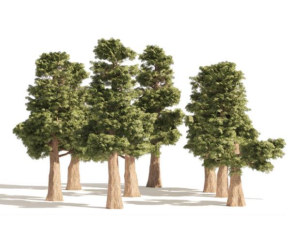 ArtStation - Small Redwoods trees | Resources