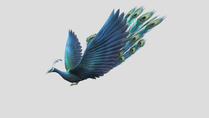 ArtStation - Peacock-02 | Game Assets