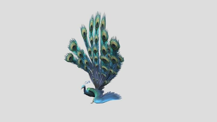 ArtStation - Peacock-04 | Game Assets