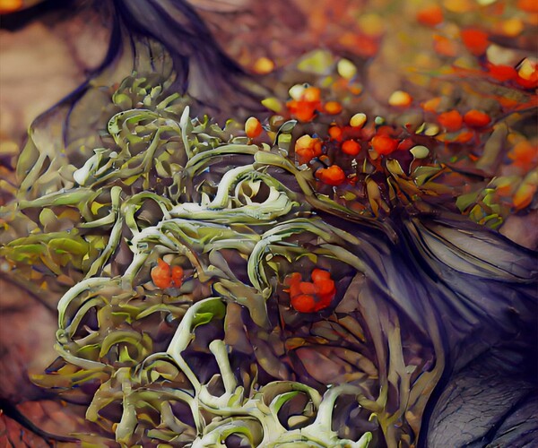 ArtStation - Ground Lichen ultra detail Texture pack 3500 jpg Random ...