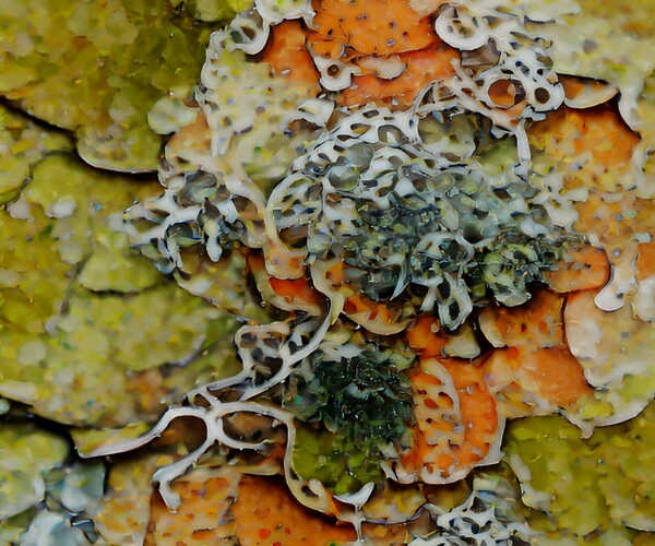 ArtStation - Ground Lichen ultra detail Texture pack 3500 jpg Random ...
