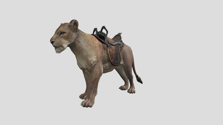 ArtStation - Lion1-02 | Game Assets