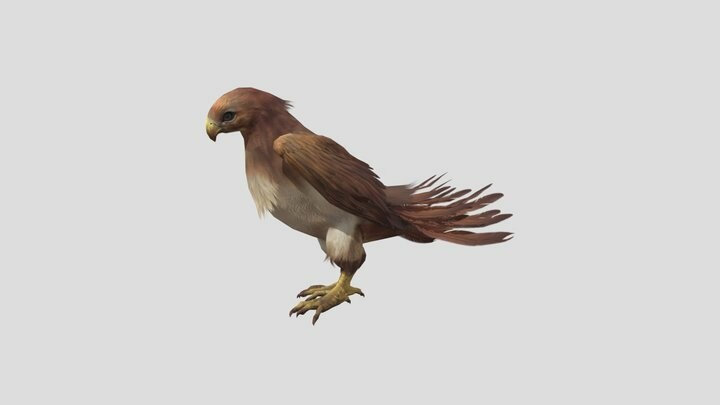 ArtStation - Kestrel -1-01 | Game Assets