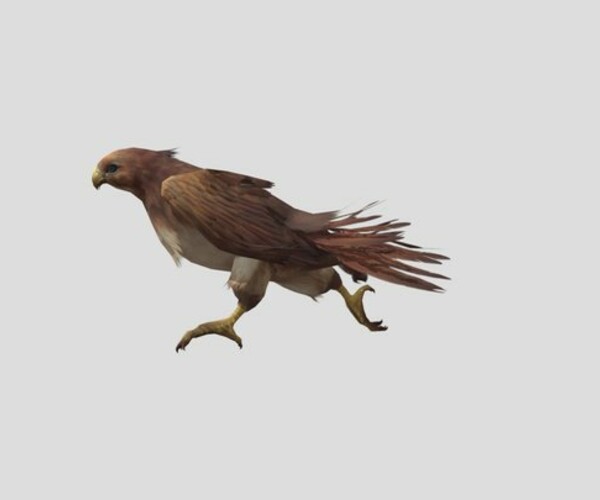 ArtStation - Kestrel -1-03 | Game Assets