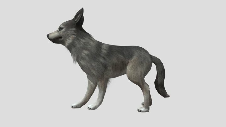 ArtStation - Wolf-1-01 | Game Assets