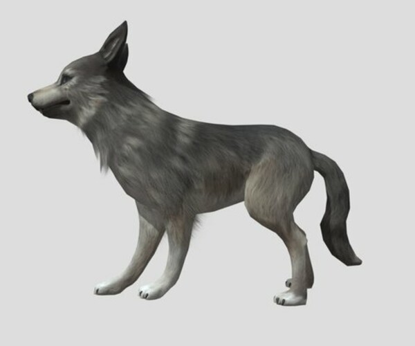 ArtStation - Wolf-1-01 | Game Assets