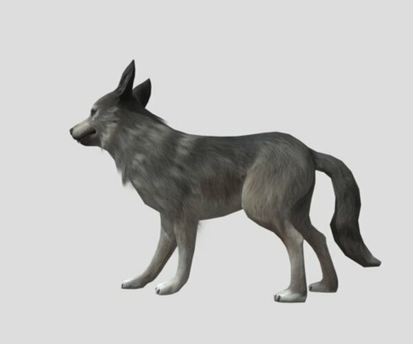 ArtStation - Wolf-1-02 | Game Assets
