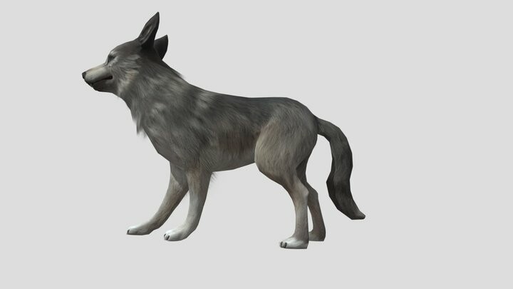 ArtStation - Wolf-1-03 | Game Assets