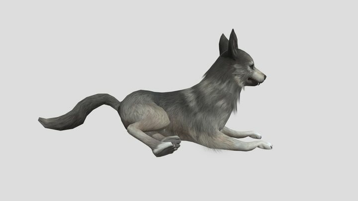 ArtStation - Wolf-1-04 | Game Assets